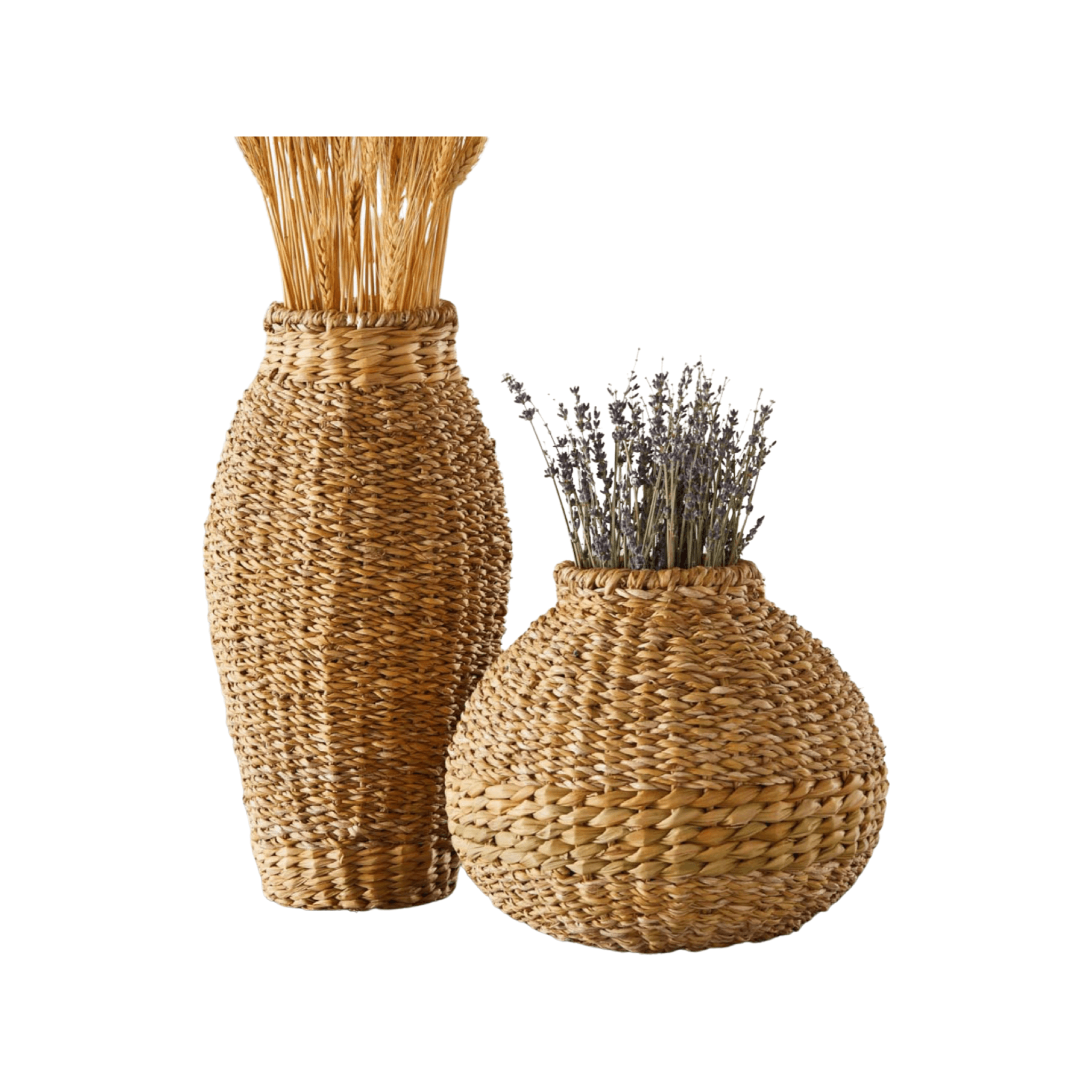 Hogla Weaved Vase | Generous Intentions